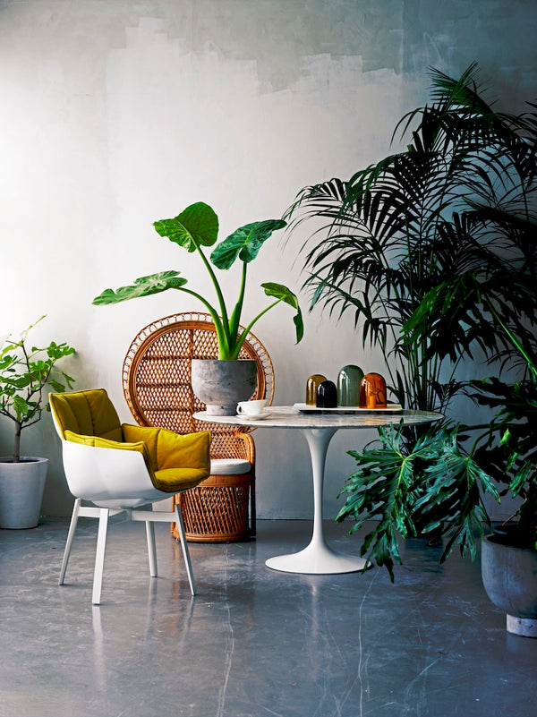 Bringing Nature Indoors Is a Design Trend that Won’t Die - gestalten US ...