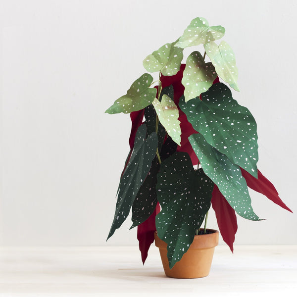 Crafted Plants by Corrie Beth Hogg - gestalten US Shop