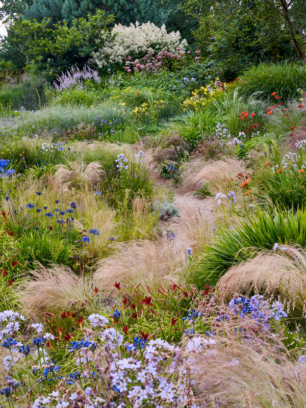 Step into The Avant Gardens - gestalten & teNeues (US Shop)