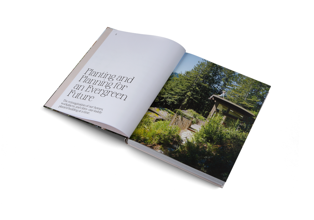 Evergreen Architecture - Overgrown Buildings and Greener Living