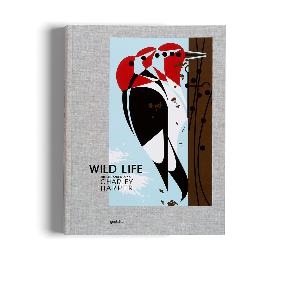 The Age of Collage 3 - Contemporary Collage in Modern Art - gestalten ...
